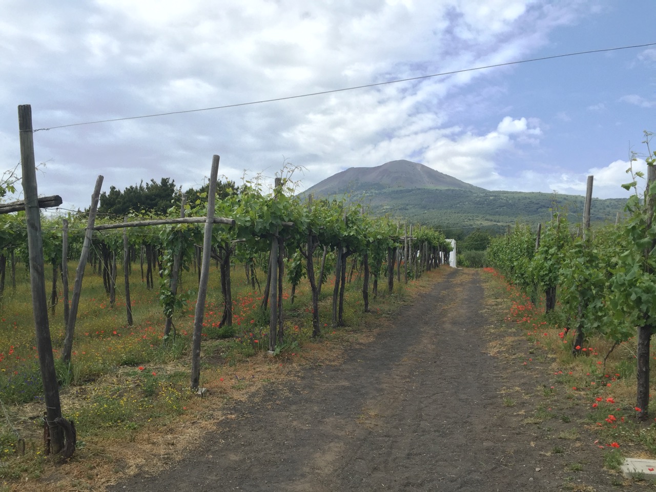 How to Visit Vesuvius and Pompeii