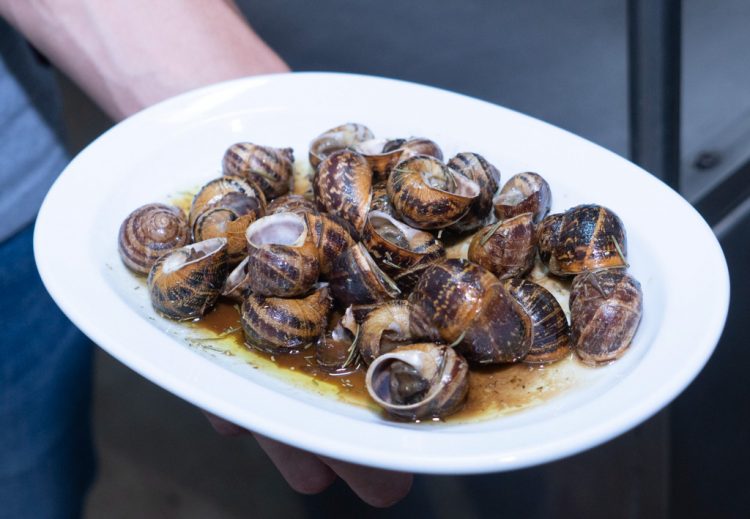 Which Greek Islands Should I Visit?